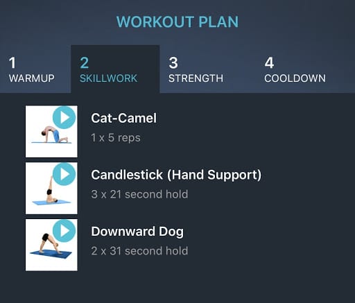 Planche workout for all levels - The Movement Athlete