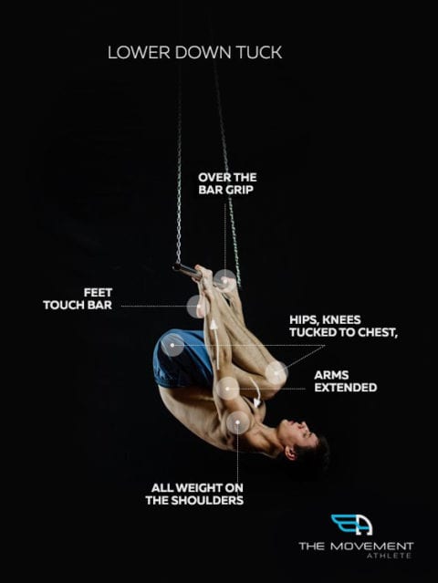 Front Lever VS Back Lever - The Movement Athlete