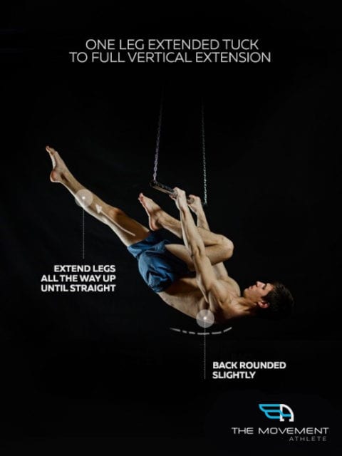 Front Lever VS Back Lever - The Movement Athlete