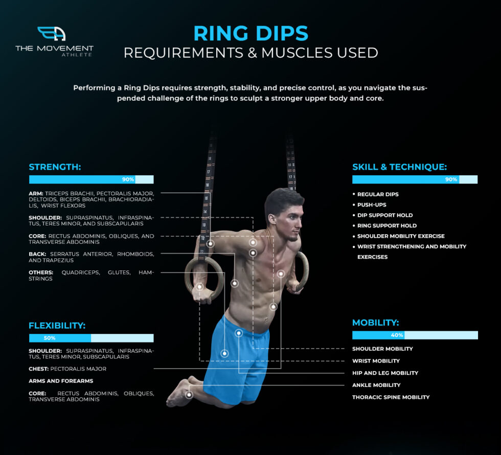 Ring Dips Muscles Used and Prerequisites - The Movement Athlete