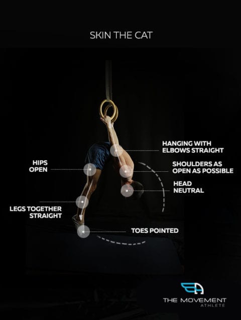 Front Lever VS Back Lever - The Movement Athlete