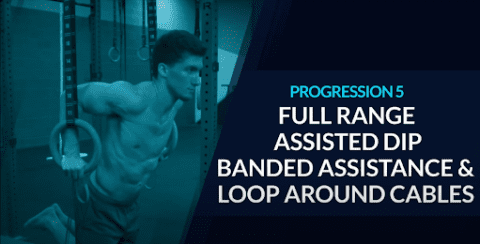 Best Ring Dip Progressions: The Fastest Way To Master Ring Dips - The ...