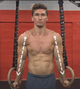 How To Do Ring Dips: Proper Form and Technique Guide - The Movement Athlete