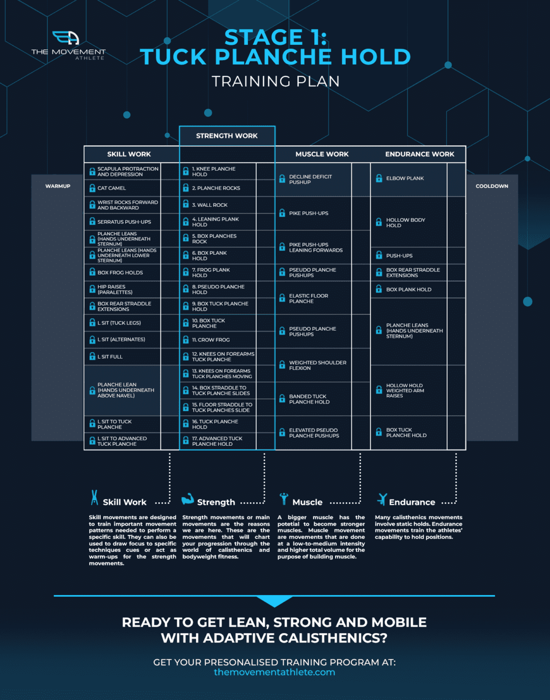 How to achieve a planche - The most effective planche progression - The ...