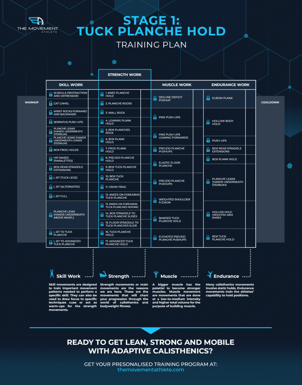 How to achieve a planche - The most effective planche progression - The ...